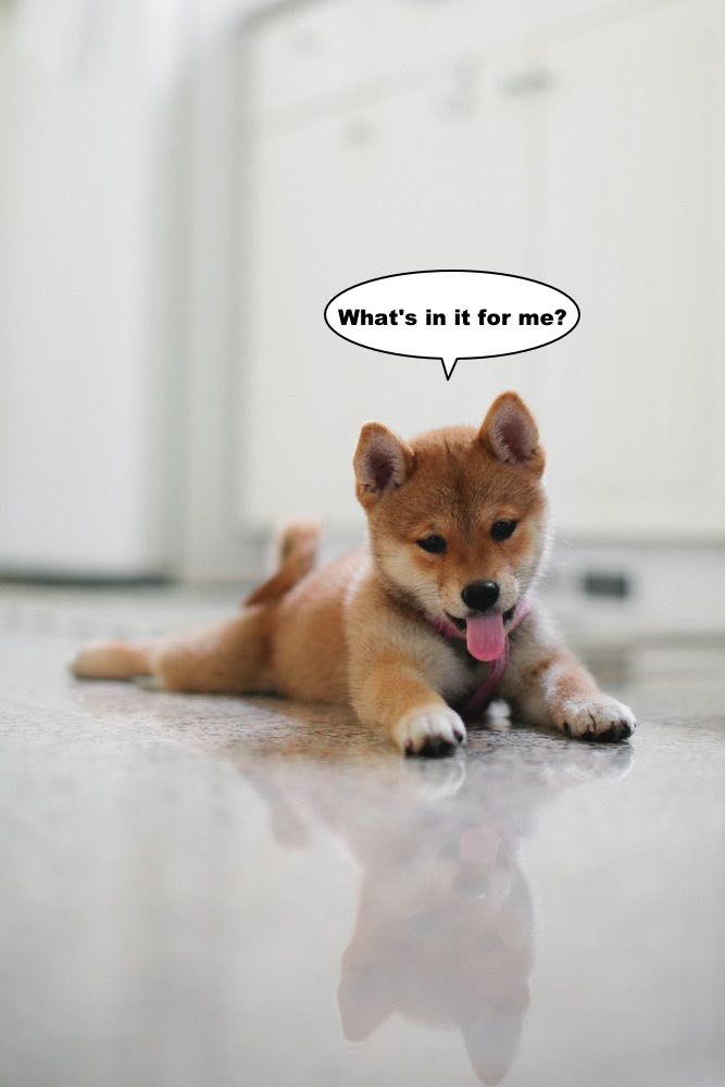 Dumbest Dog Breeds – Page 17 – Taboo News